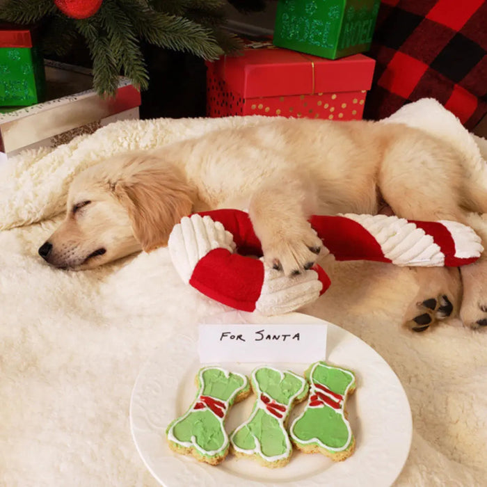 Christmas Treats for Dogs Recipes - Dog Child