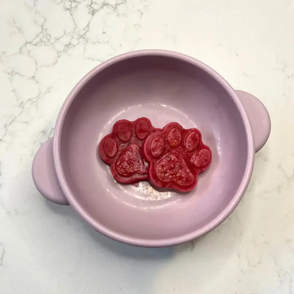 Frozen Dog Treat Recipe with Raspberries & Chia Seeds - Dog Child