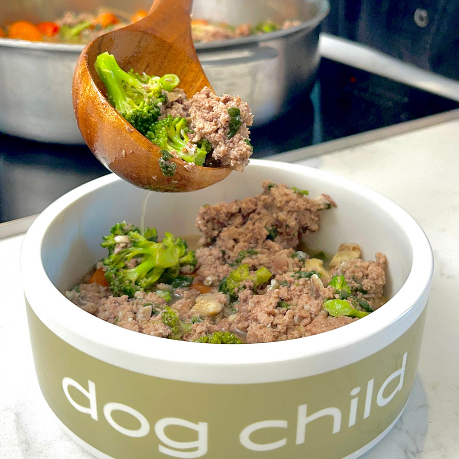 Fall Stew for Dogs Easy & Nutritious Homemade Dog Food - Dog Child