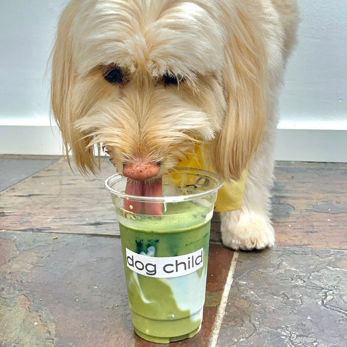 Immunity Green Smoothie For Dogs Erewhon Dupe - Dog Child