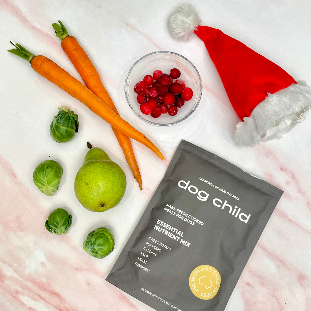 Holiday Stew Homemade Cooked Dog Food recipes - Dog Child