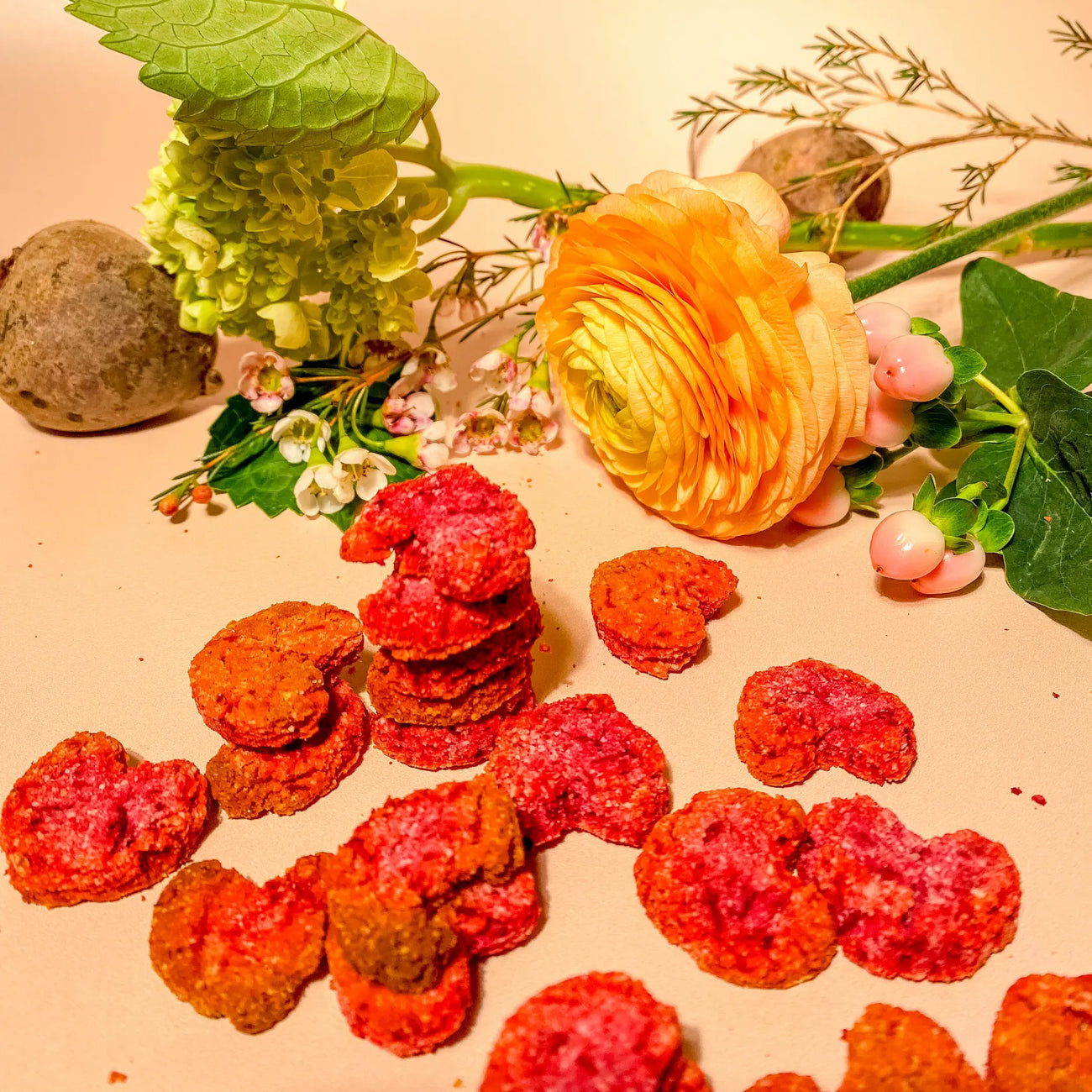 Dog Treat Beet Recipe Easy - Dog Child