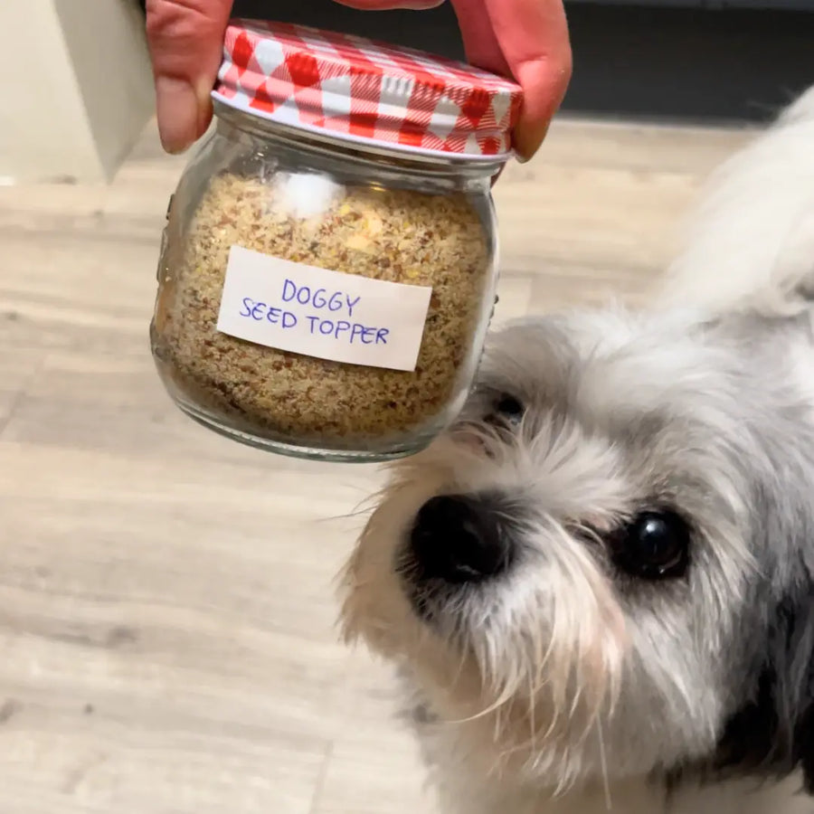 Seed Topper for Dogs - Seeds Dogs Can Eat - Dog Child