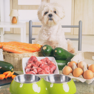 10 Must-Try Easy Dog Recipes with Ground Beef - Dog Child