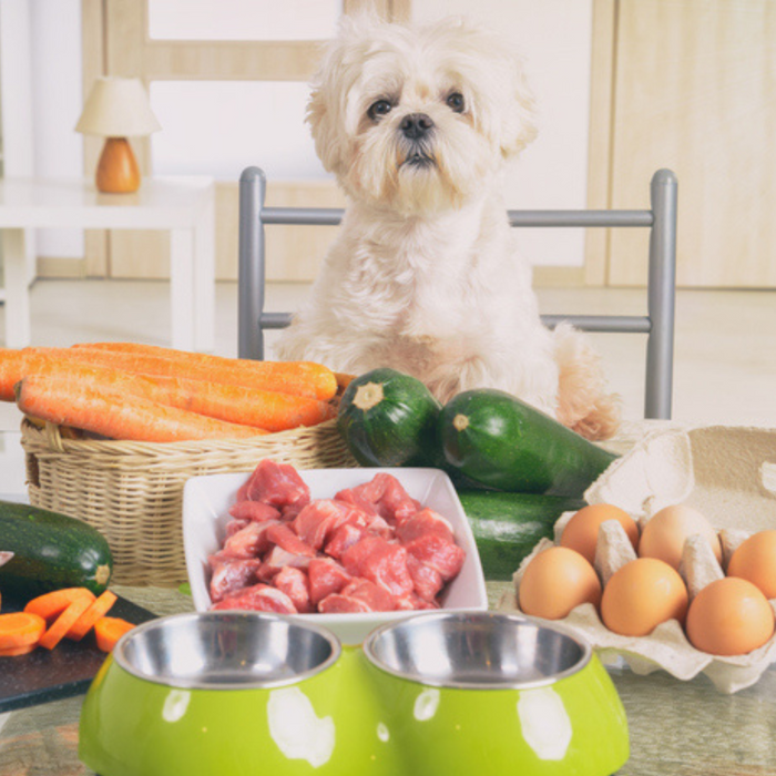 10 Must-Try Easy Dog Recipes with Ground Beef - Dog Child