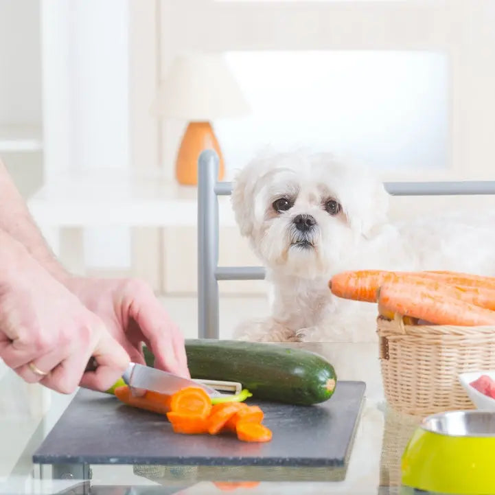 4 Winter Veggies for Dogs – The Benefits and How - Dog Child