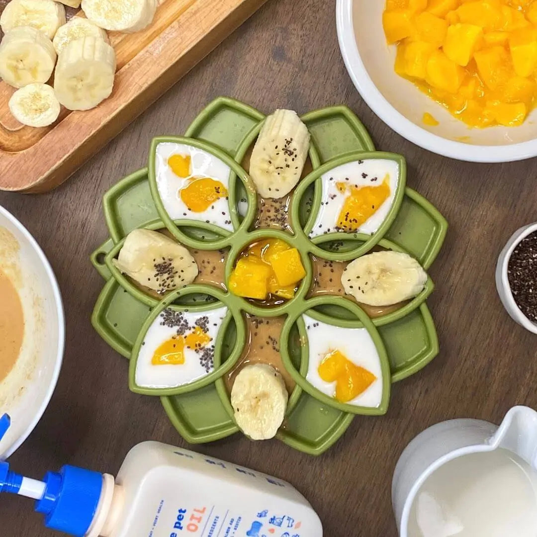 Can Dogs Eat Mango? Is Mango is Good for Dogs? - Dog Child