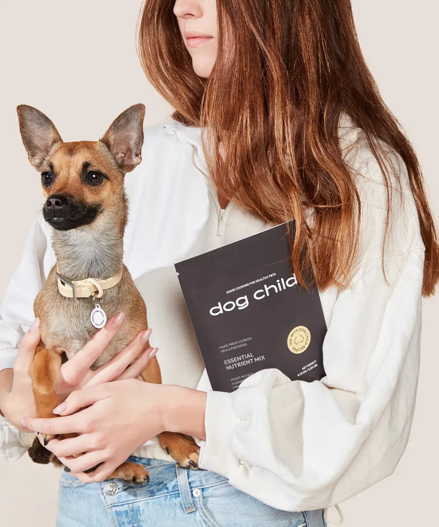 Homemade Easy Ground Beef & Egg Recipe for Dogs - Dog Child