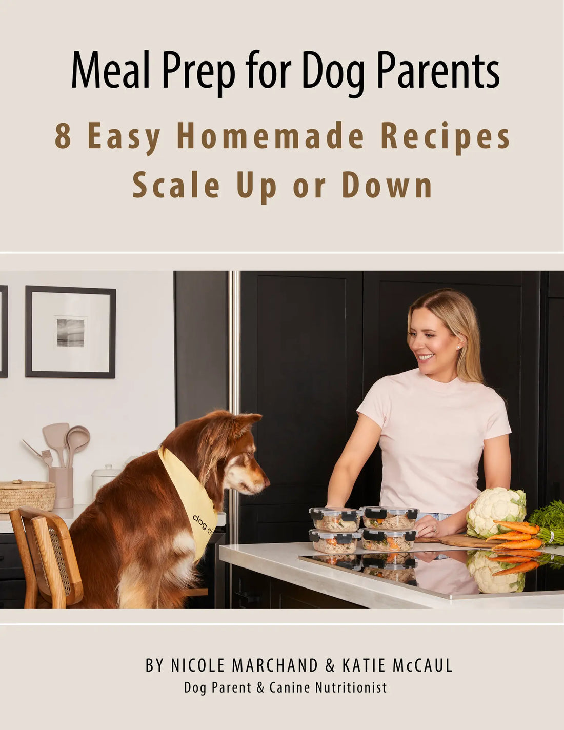 Homemade Ground Turkey Recipes for Dogs - Dog Child