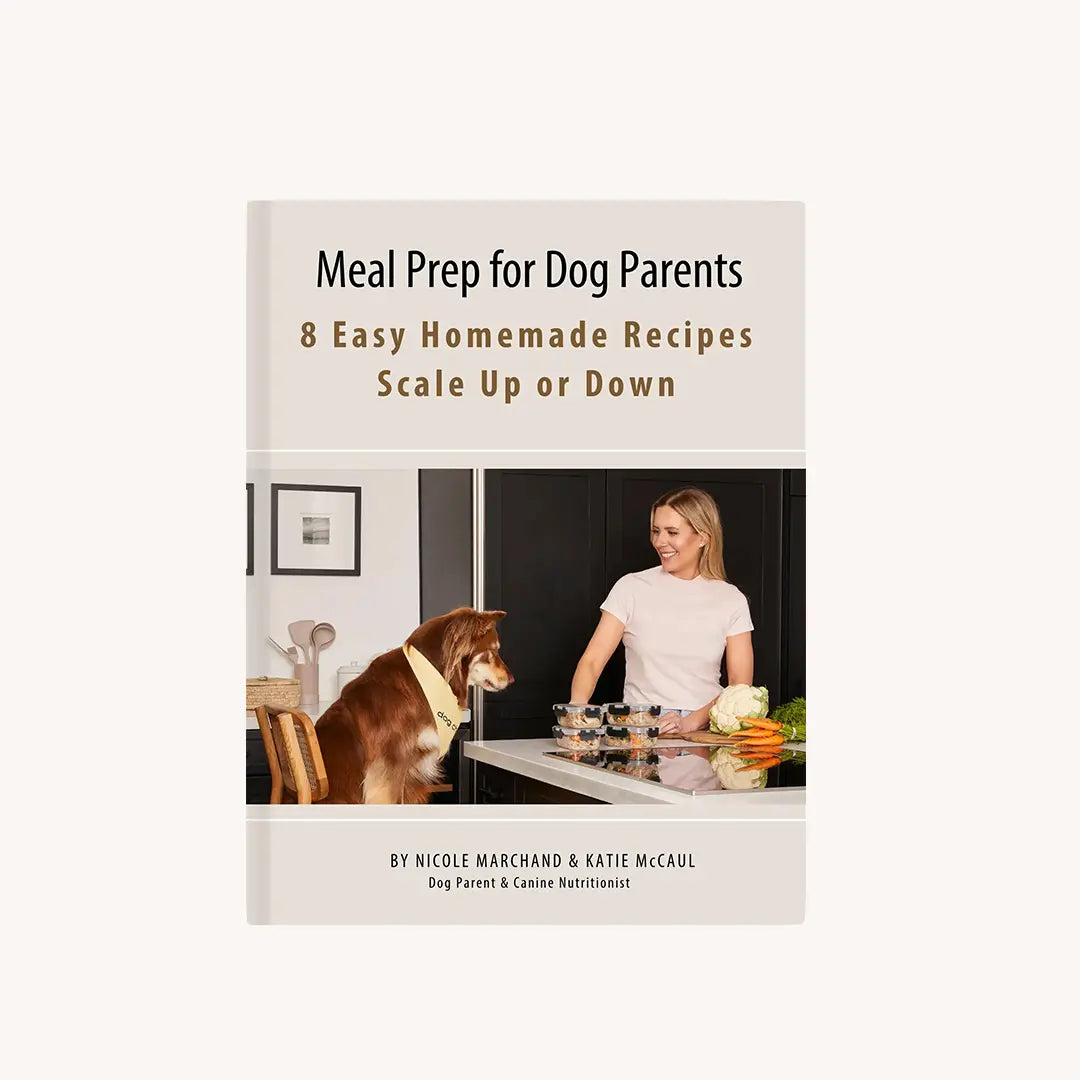 Meal Prep for Dog Parents 8 Easy Homemade Recipes - Dog Child